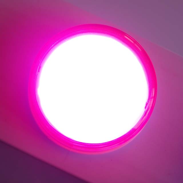 Light Purple Translucent Flat Light Cap